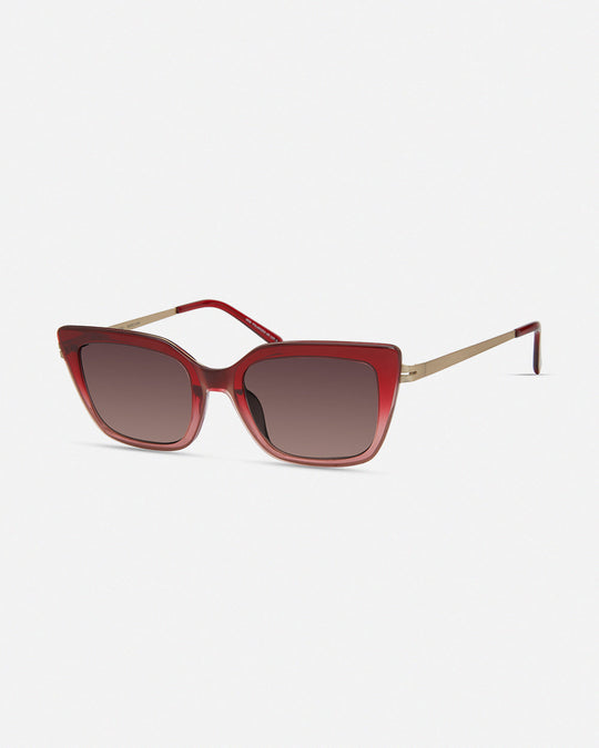 Sunglasses – MODO Eyewear